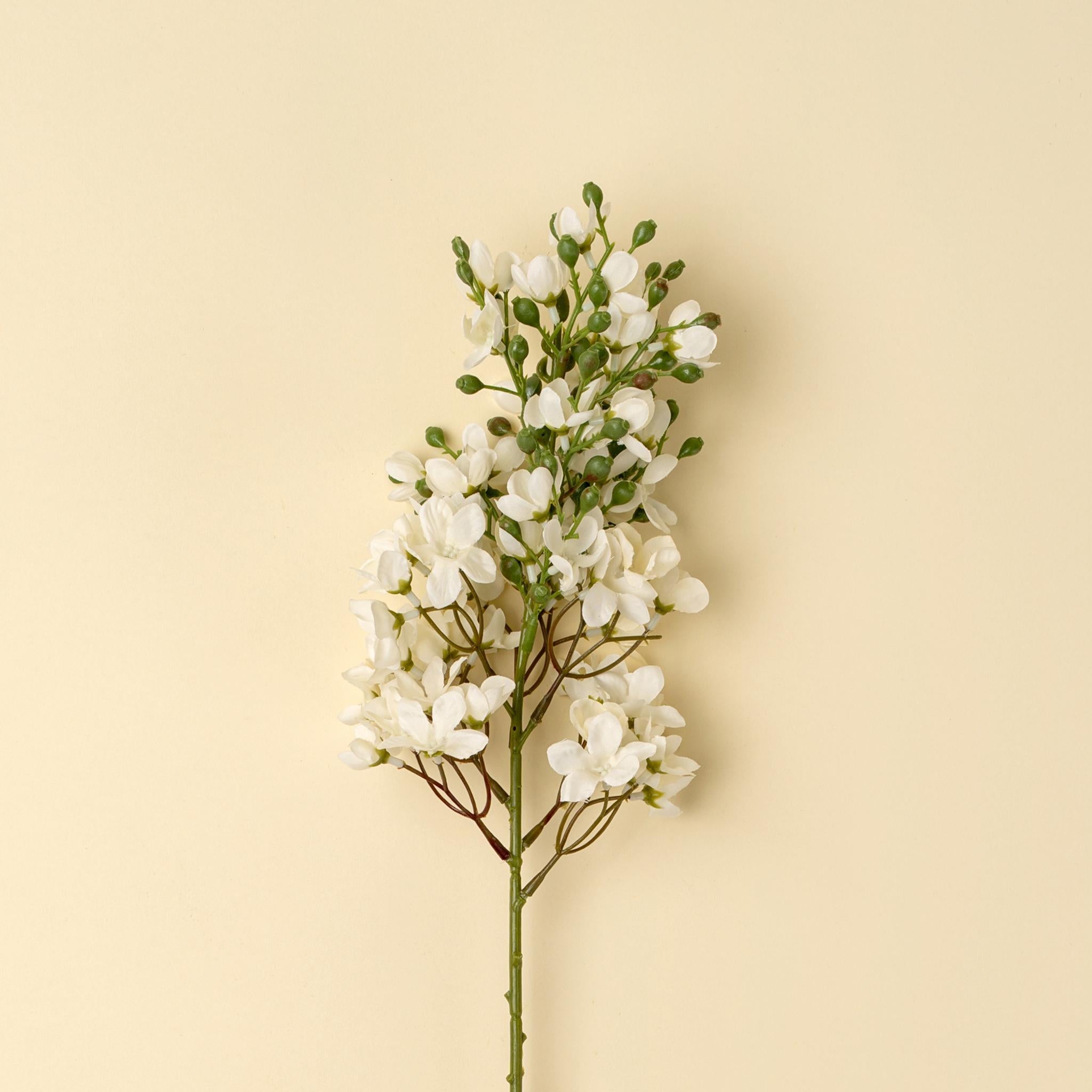 White Delphinium Stem – Beach Grove Cafe & Boutique