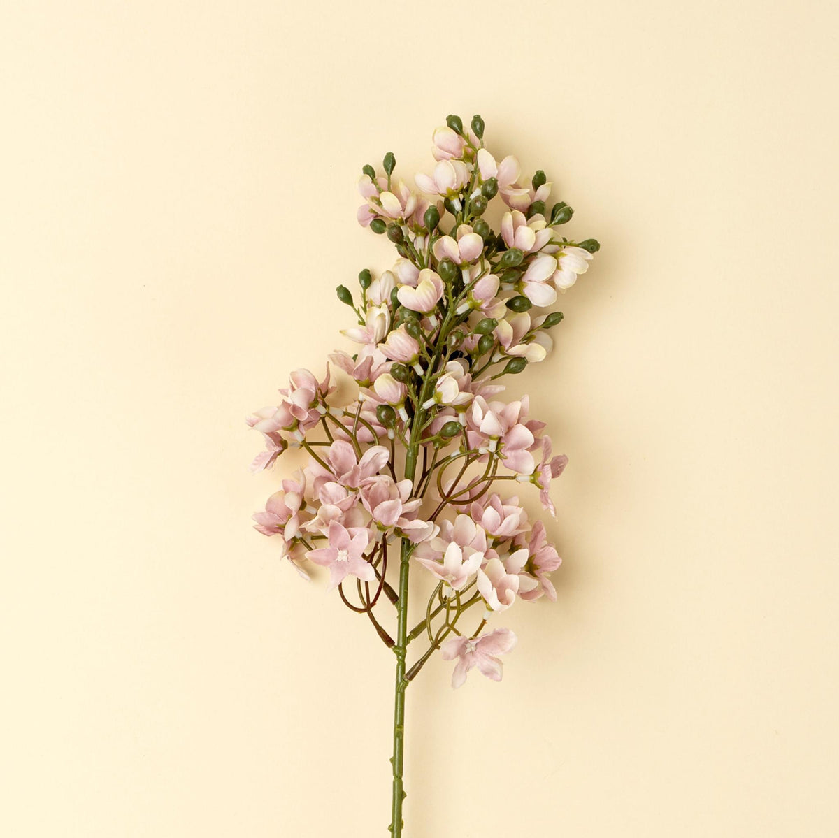 Pink Delphinium Stem – Beach Grove Cafe & Boutique